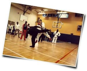 BrownsKarate.com Grand Master Barry Brown/Browns Karate - AboutUs