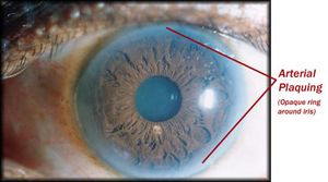 IridologyNYC.com is a Center for Iridology in New York - AboutUs